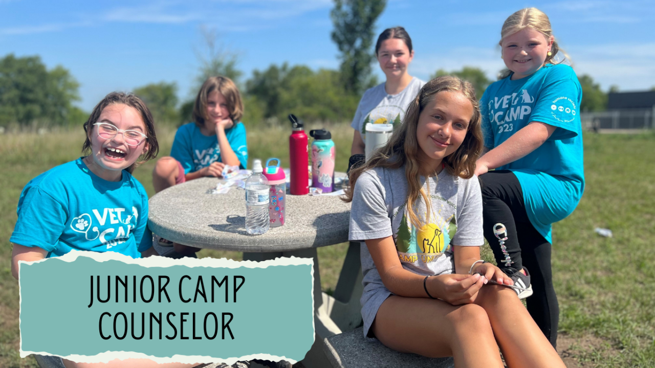Camp Unleashed - Humane Society of Southern Wisconsin